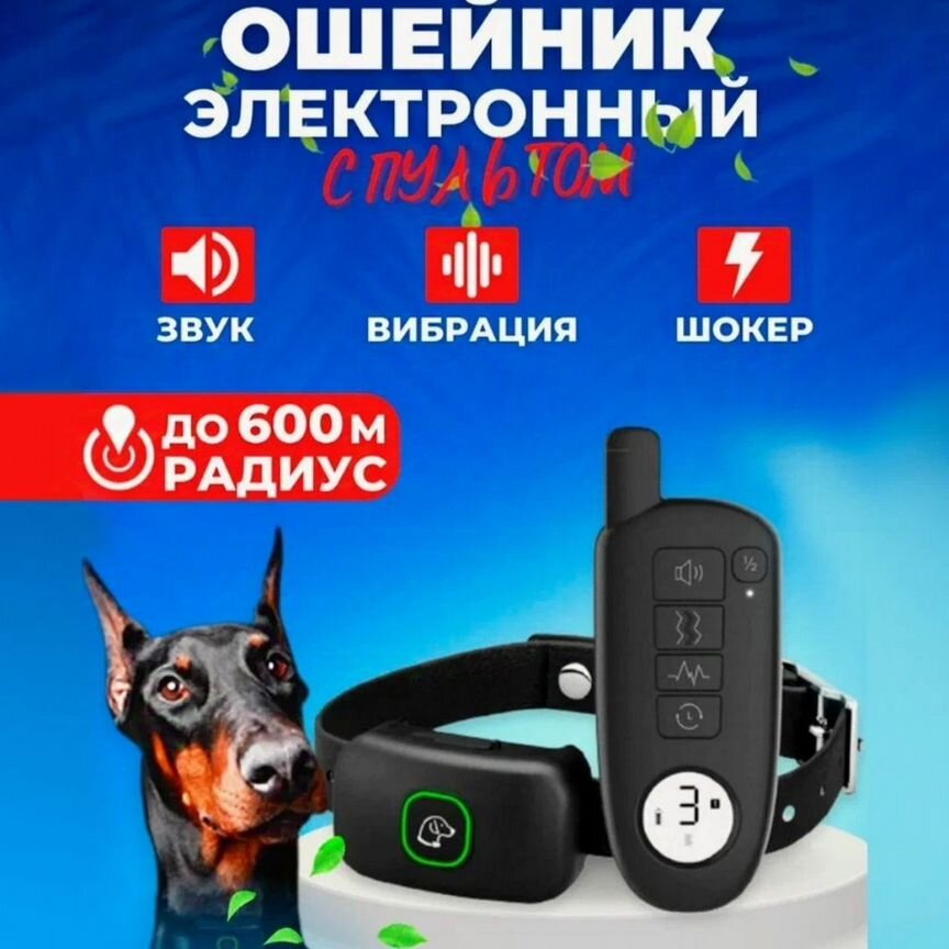 Электронный ошейник