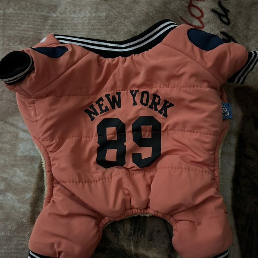 Костюм для маленькой собачки