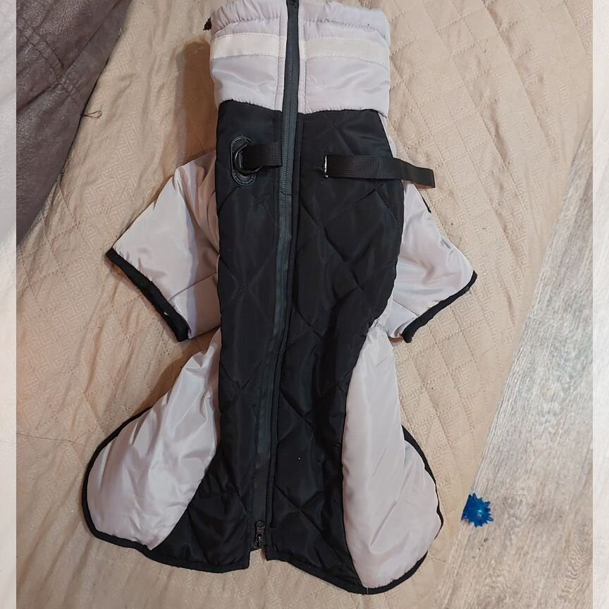 Одежда для собак