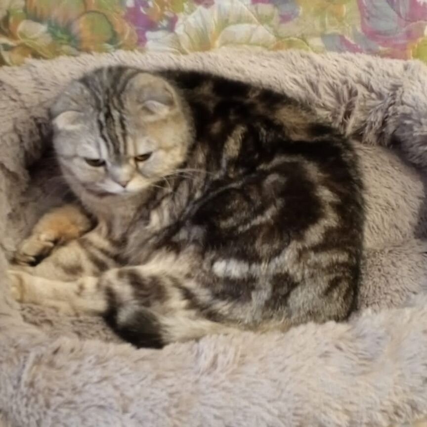 Вынужденное расставание