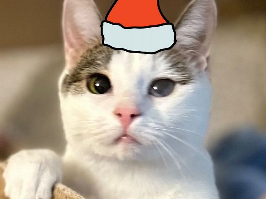 Чудесная малышка нуждается в своем доме