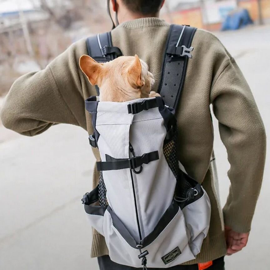 Рюкзак для собак