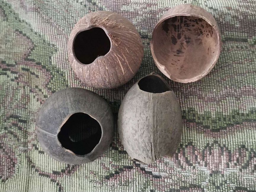 Кокосовые домики для рыбок в аквариум