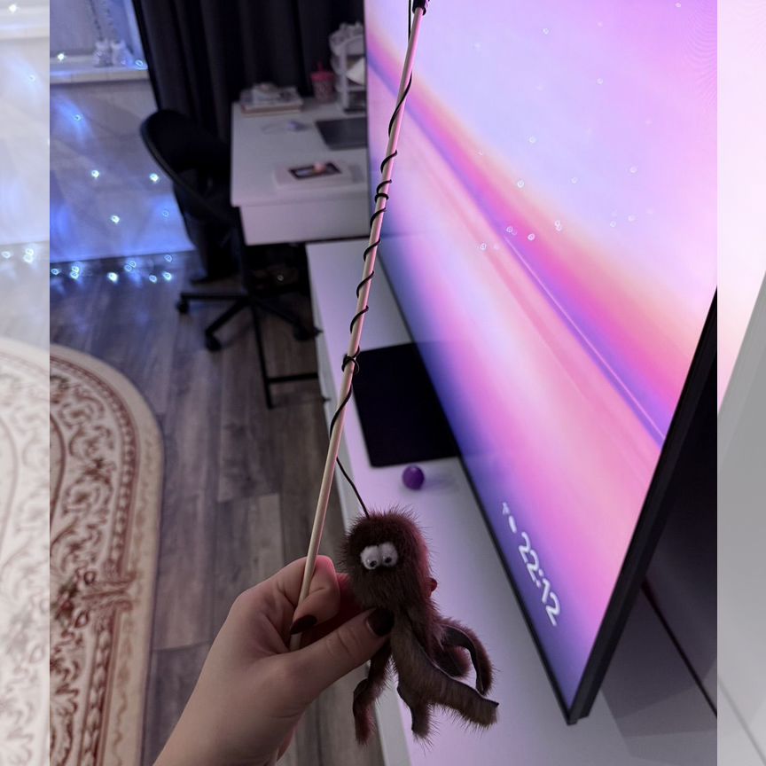 Набор для кота