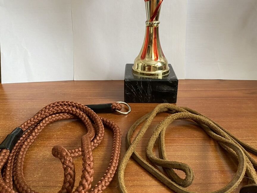 Ринговка для собак