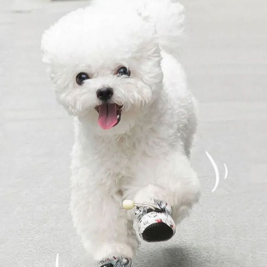 Зимняя обувь для собак