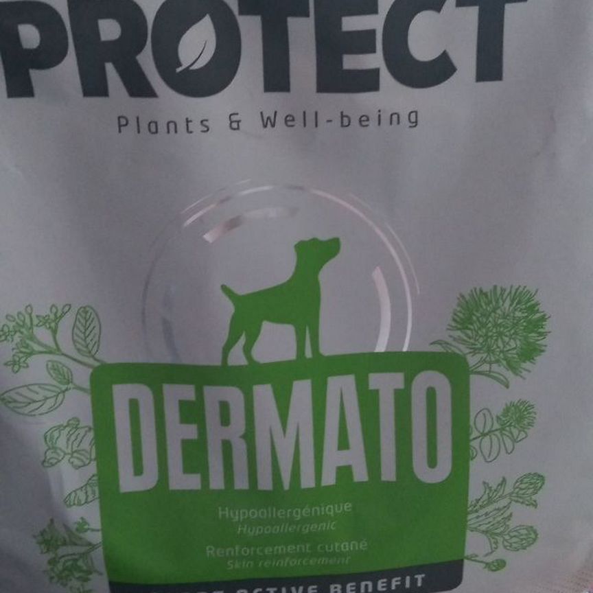 Сухой корм для собак