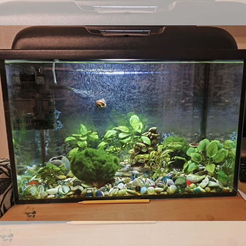 Аквариум 60 литров