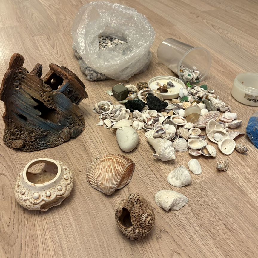 Декор для аквариума: грунт ракушки декор