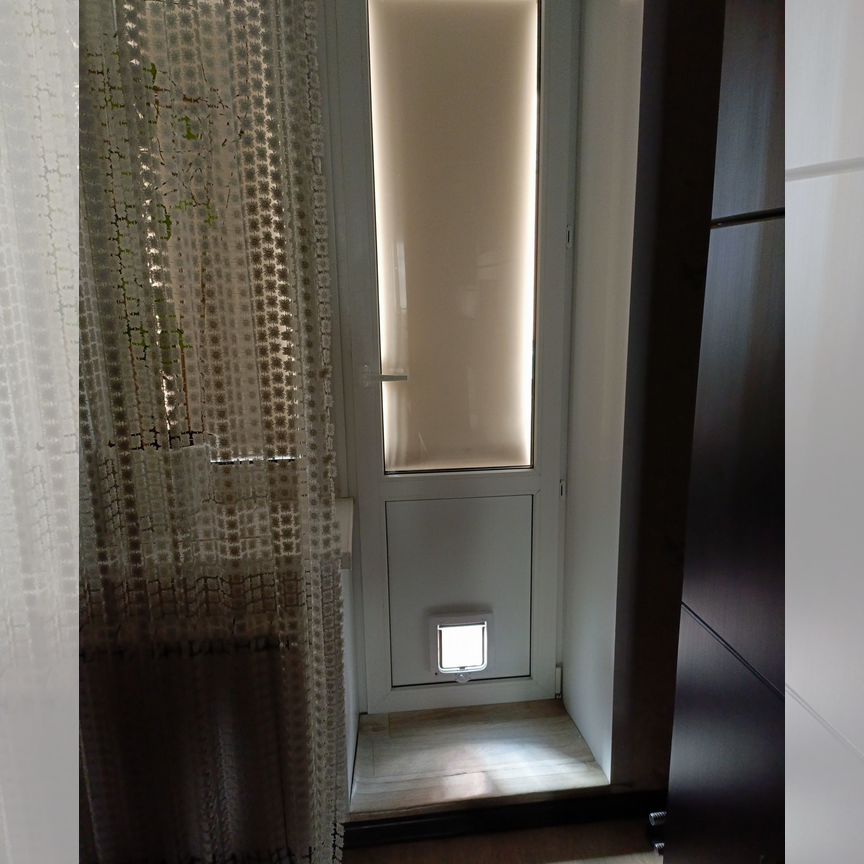 Лаз для кошки