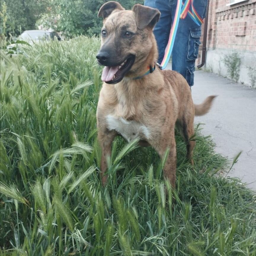 Особенная девочка ищет дом