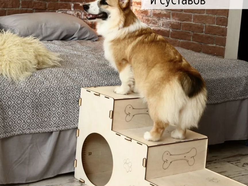 Лесенка для собак