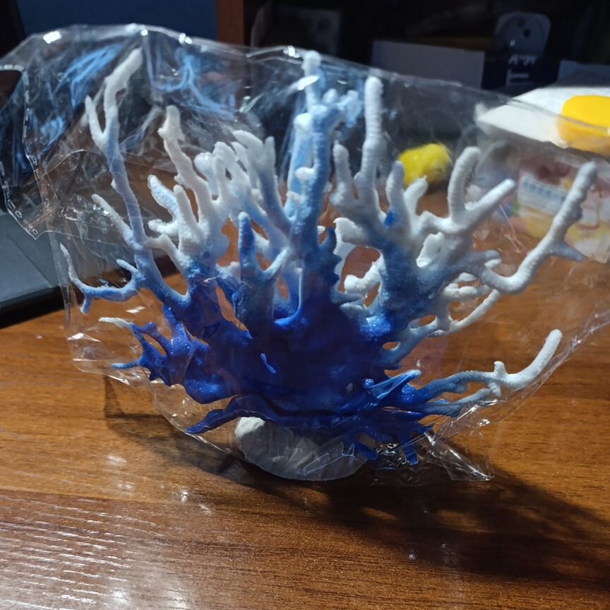 Аквариумные растения