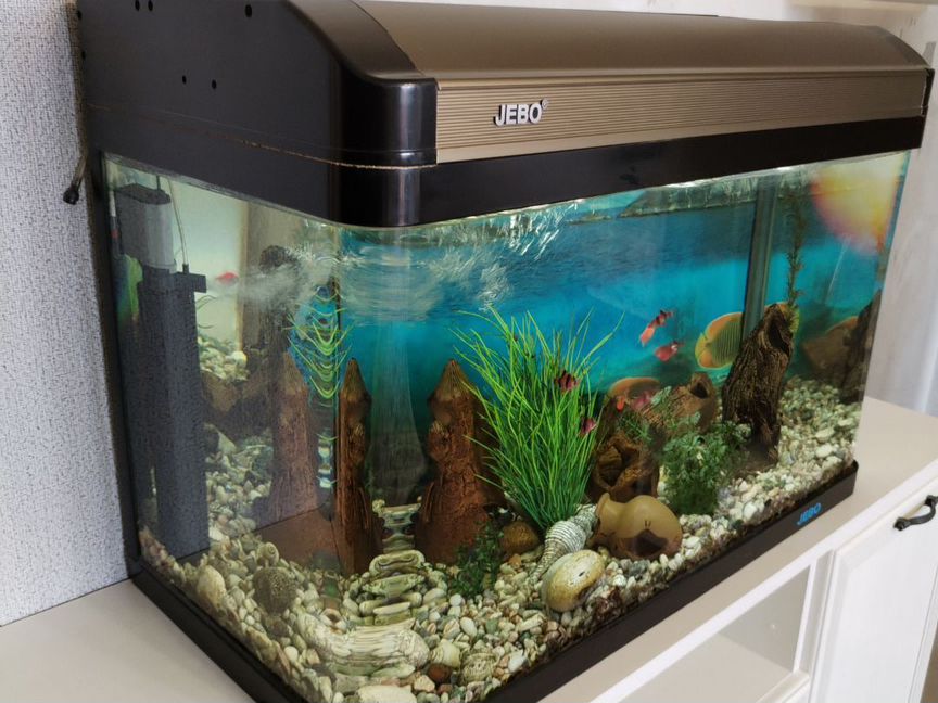 Аквариум jebo(Япония) на 140 литров с рыбками