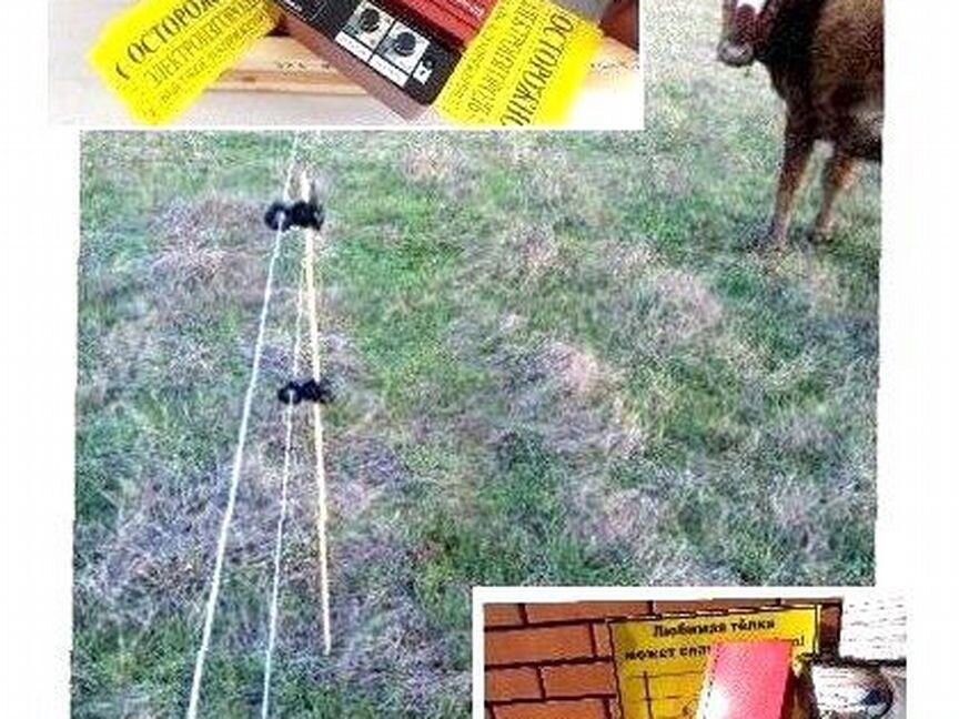 Электропастух