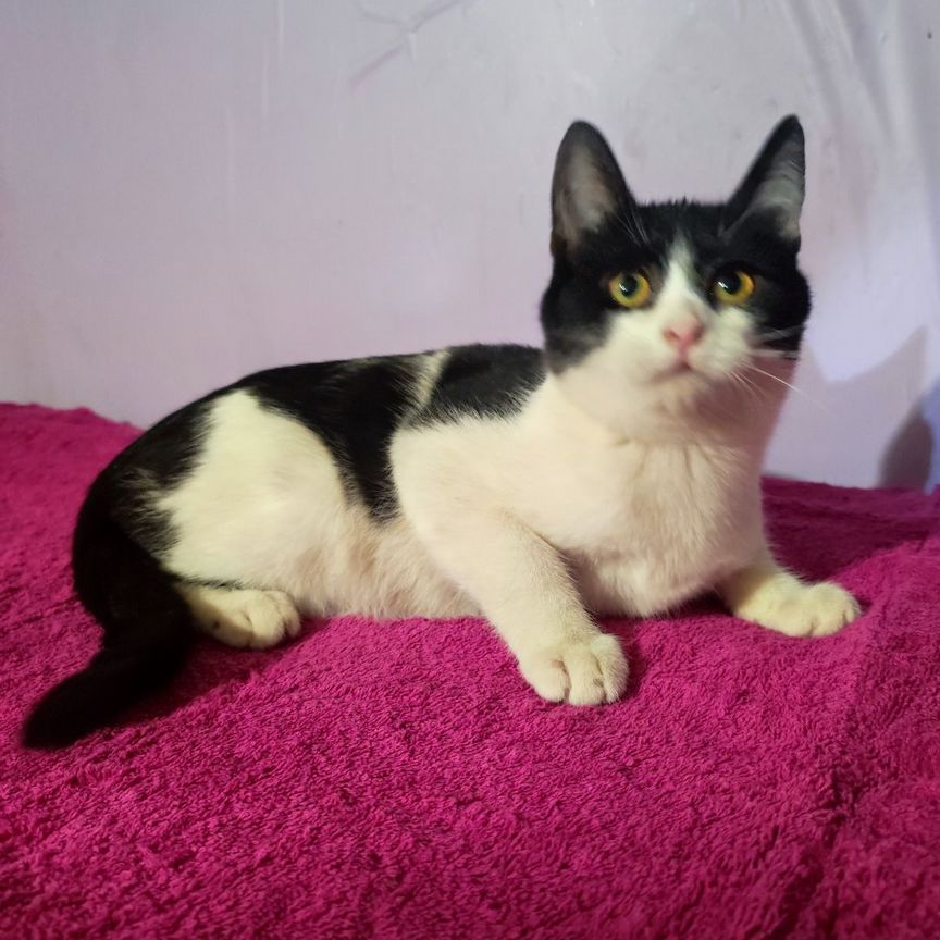 Федя малыш 4 мес