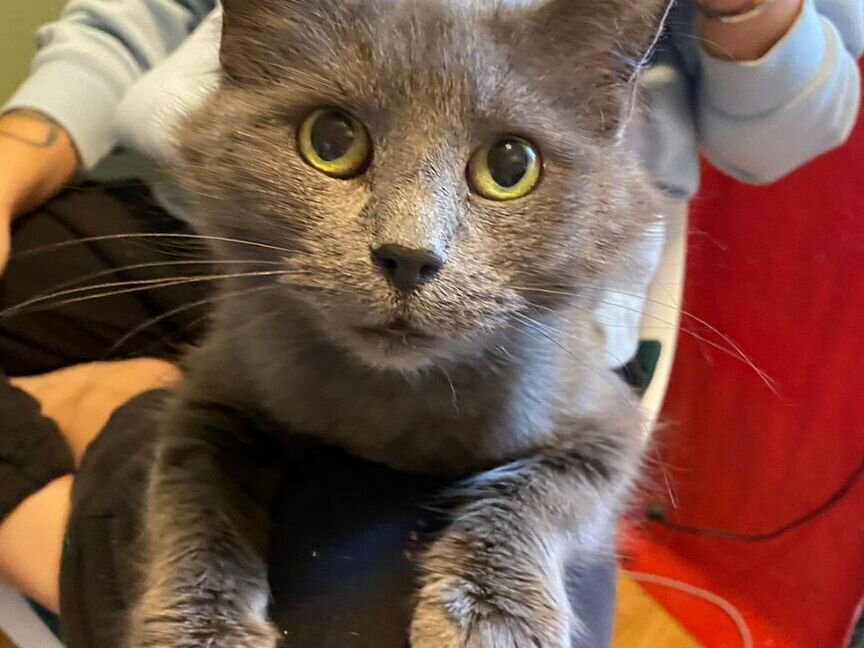 В надежде на чудо