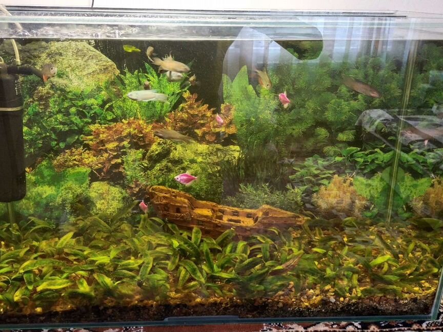 Аквариум с тумбой бу