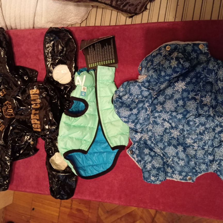 Одежда для собак мелких пород