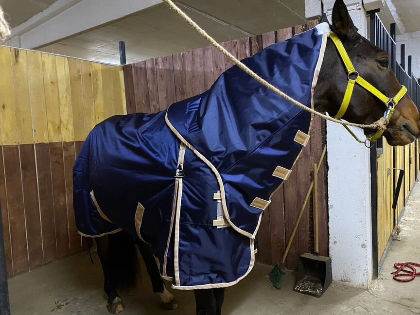 Попона для лошади зимняя 135