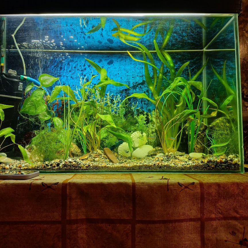 Украшение для аквариума