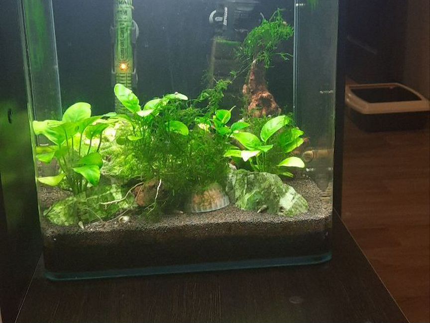 Аквариум dennerle 30l