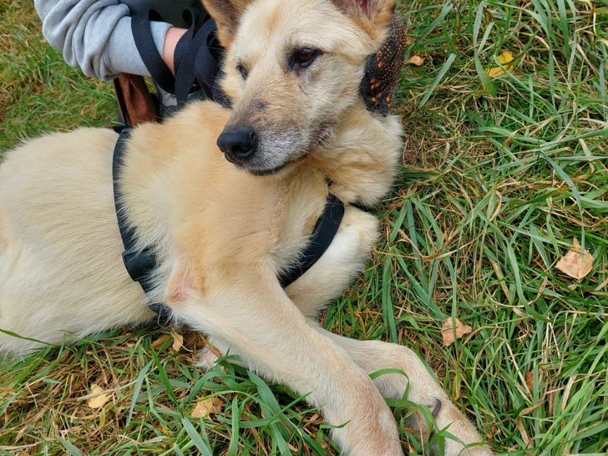 Балте осталось не долго