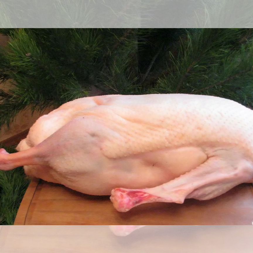 Продажа качественной домашней птицы