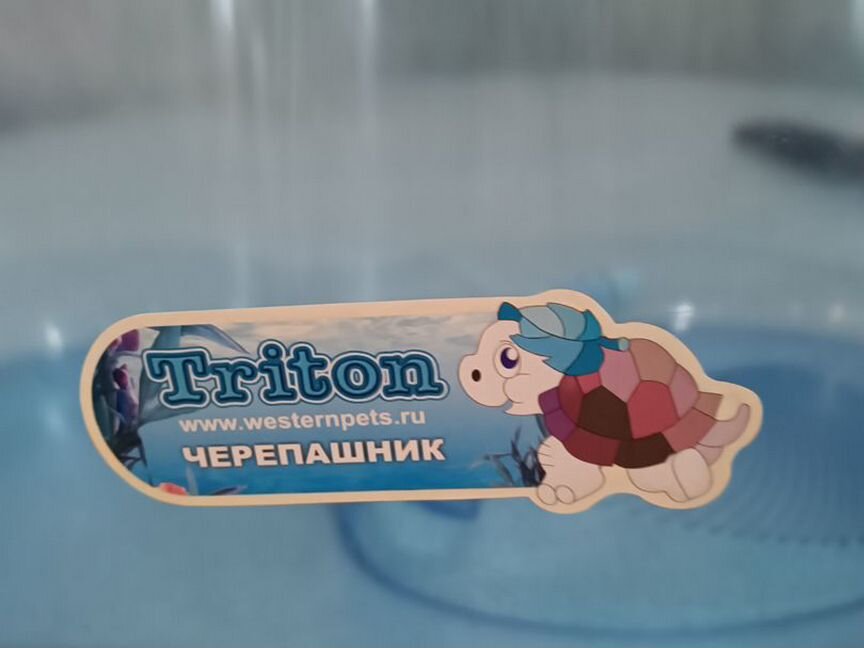 Черепашник Triton