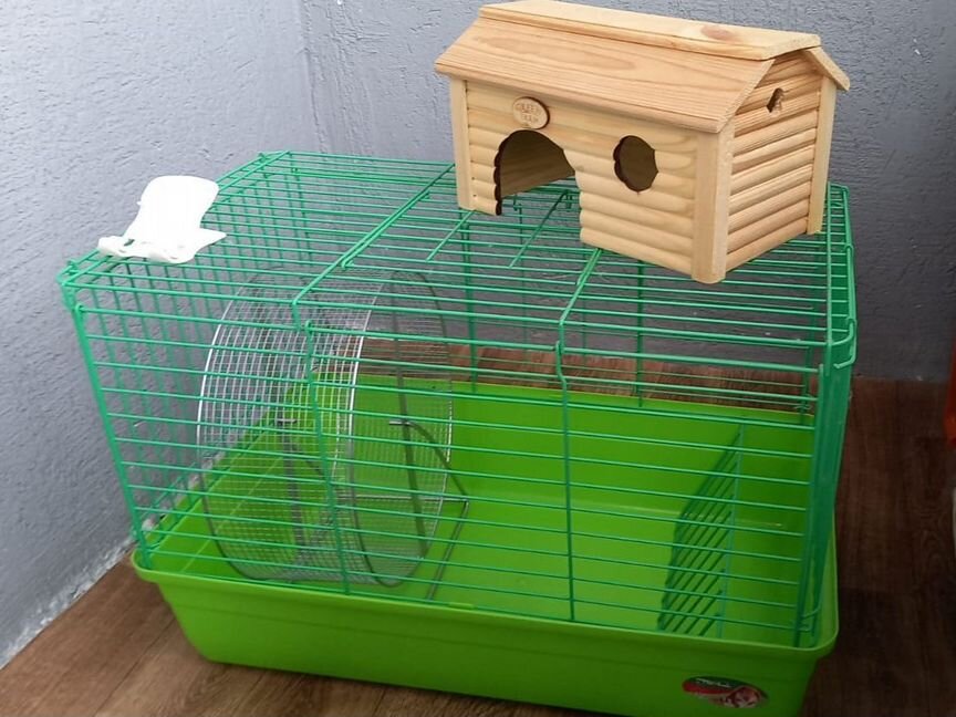 Клетка + домик + опилки + беговое кольцо