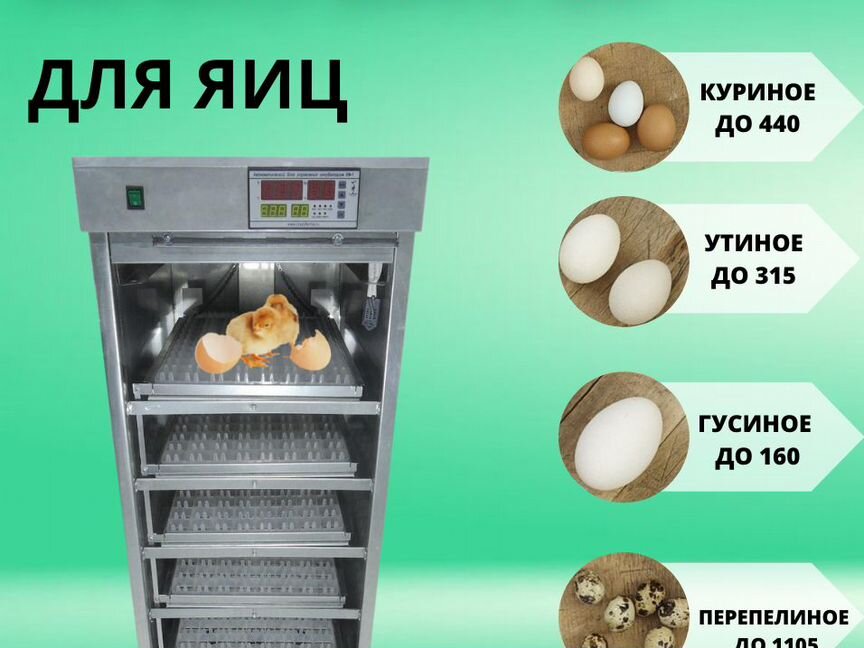 Инкубатор от производителя