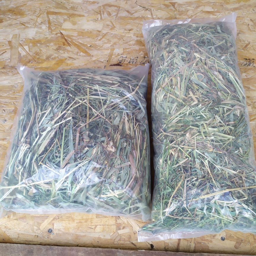 Сено для грызунов