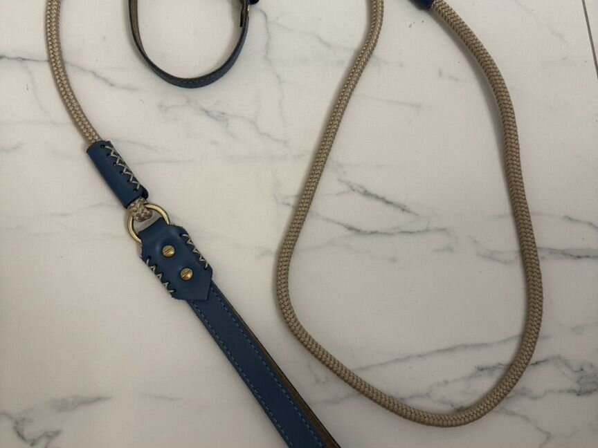 Поводок и ошейник Arctic lion