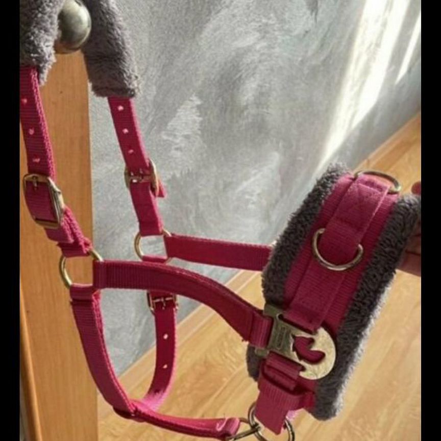 Недоуздок для лошади