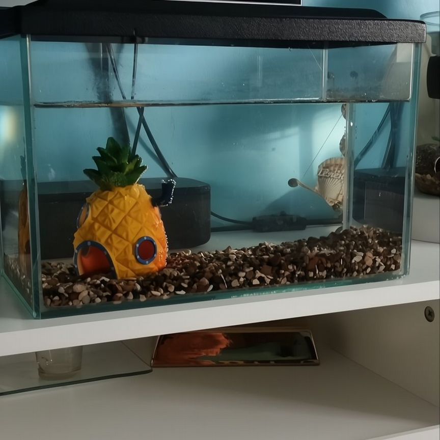 Аквариум 10литров