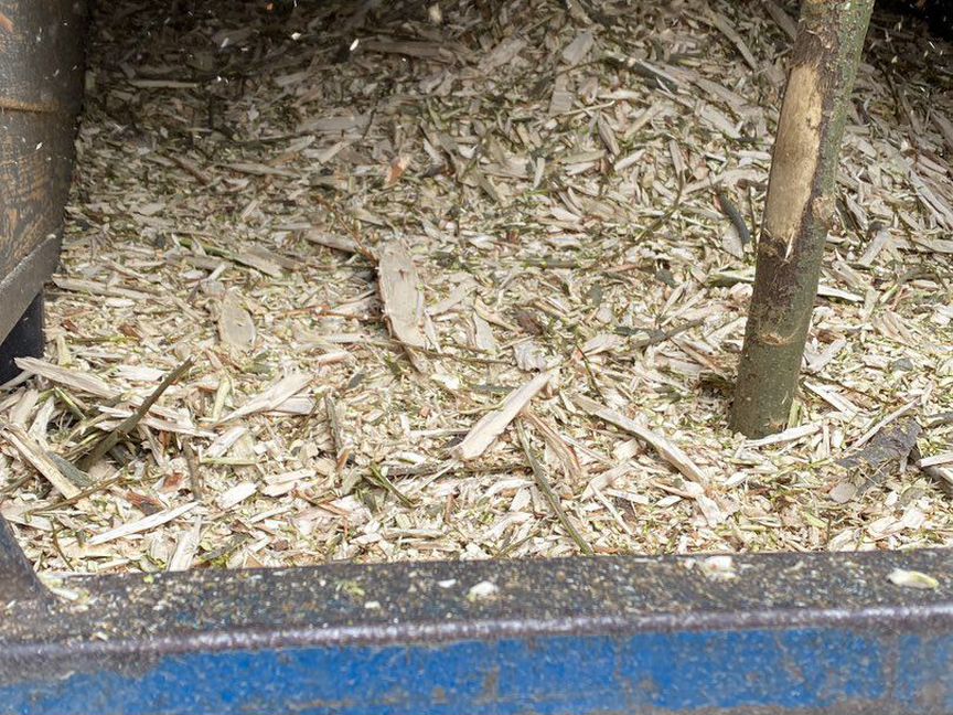 Щепа бесплатно