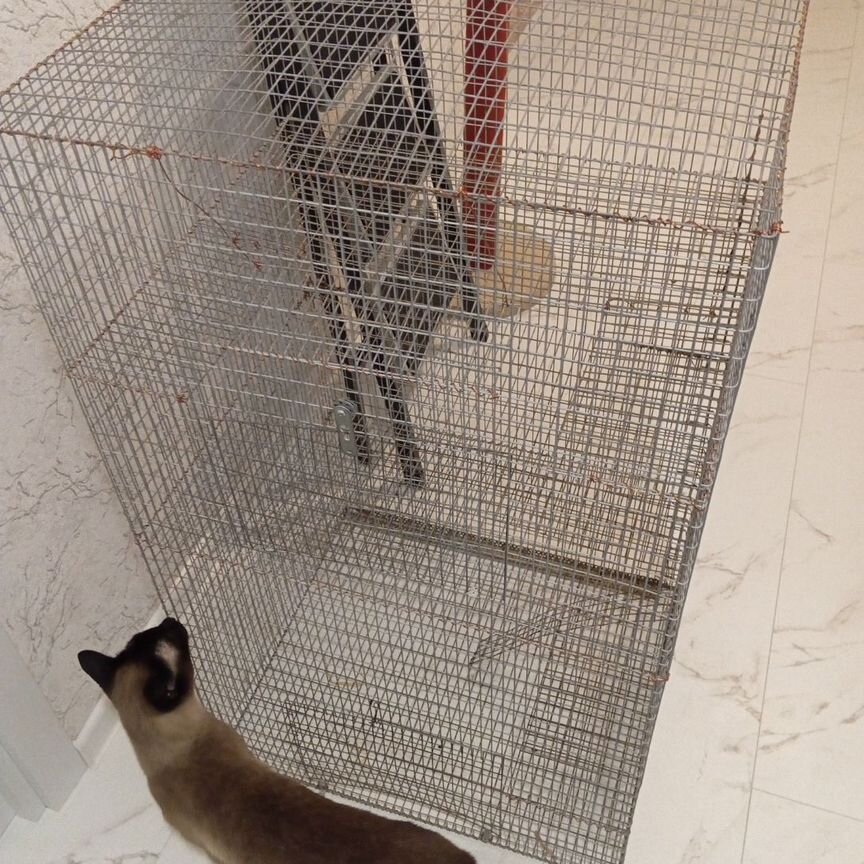 Клетка для грызунов большая