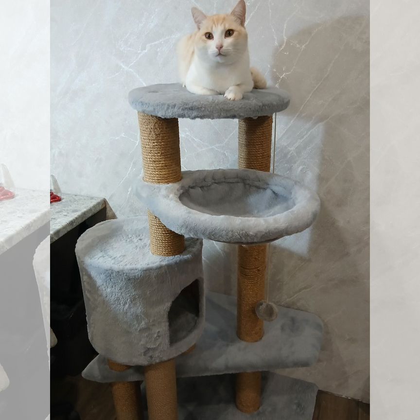 Домик лежанка для кошки