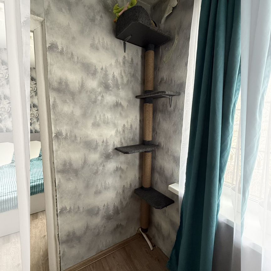 Когтеточка под потолок