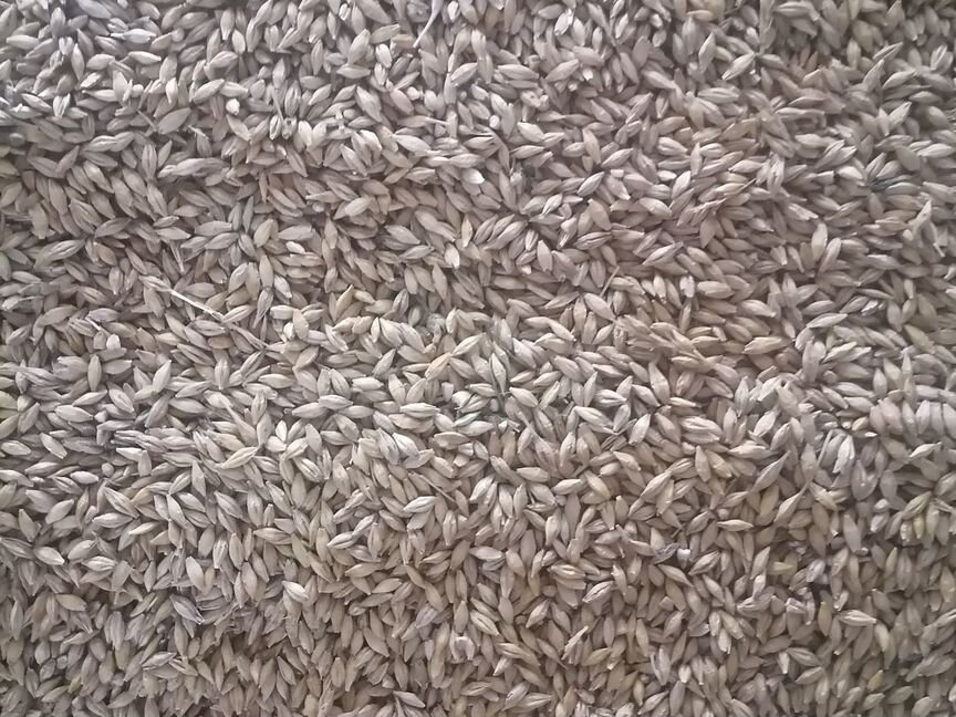 Зерно дробленка