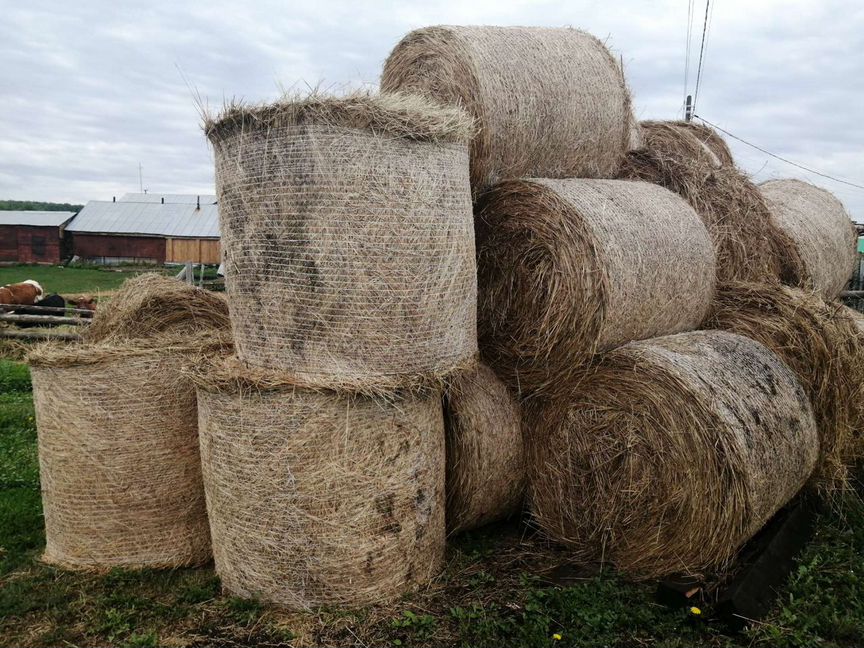 Сено в тюках костер