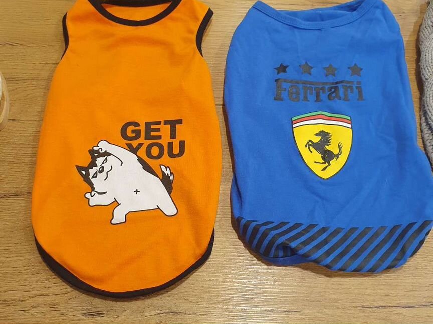 Одежда для собак средних пород