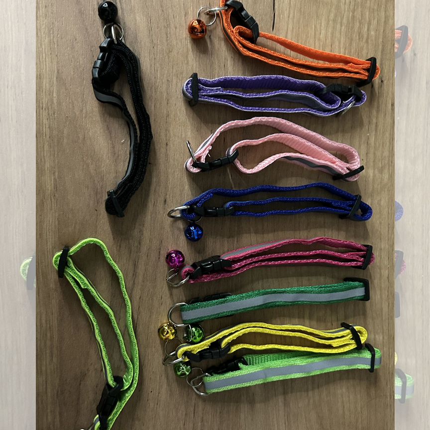 Ошейник для животных