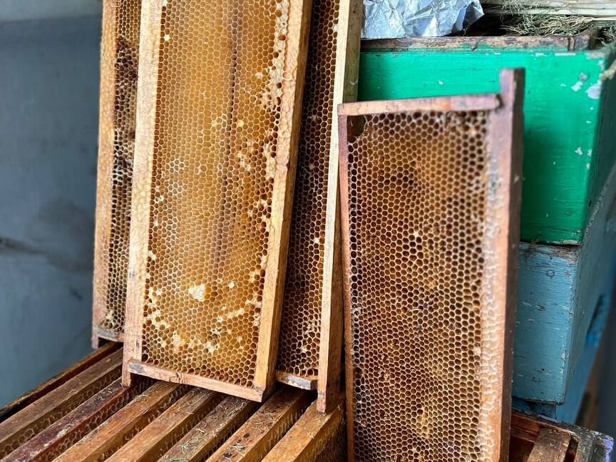 Корпусы + рамки с сушью