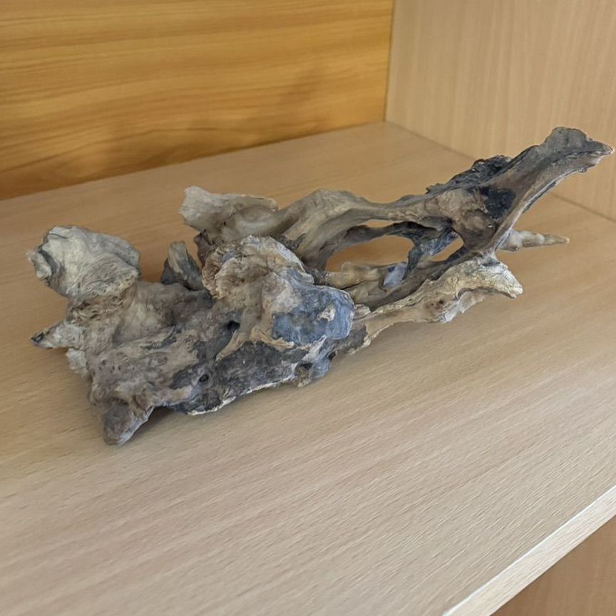 Коряга в аквариум