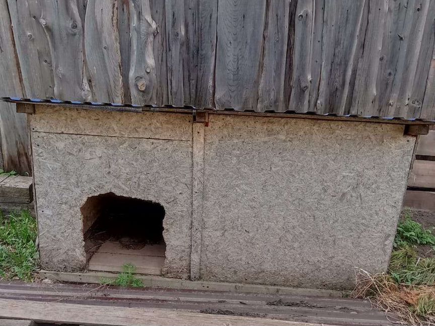 Будка для собаки утепленная
