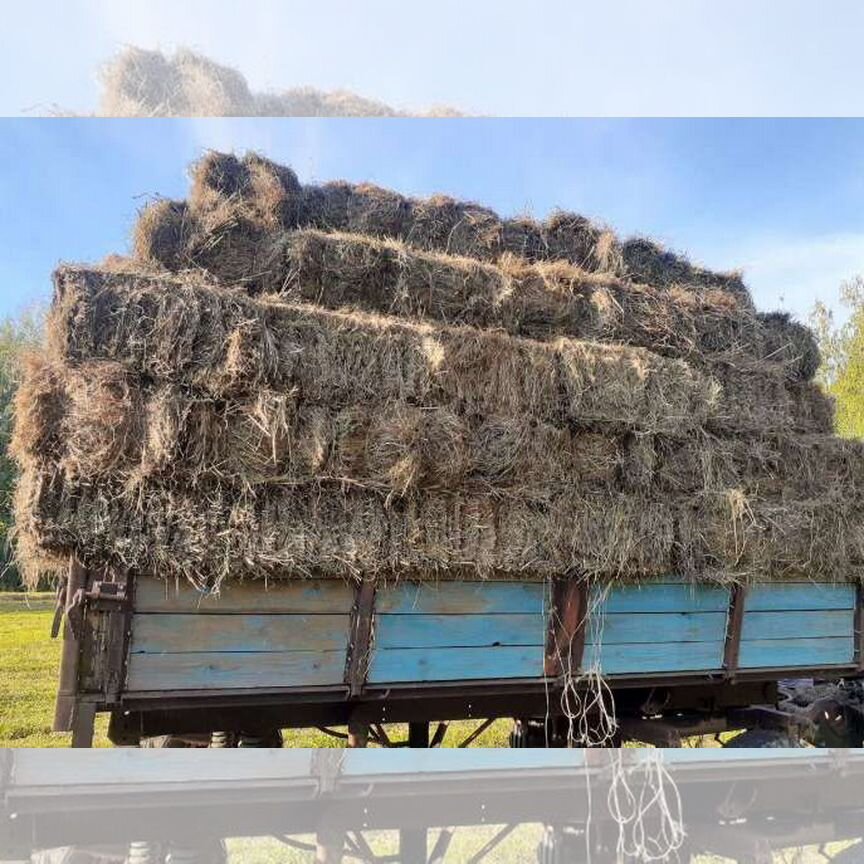 Сено в брикетах