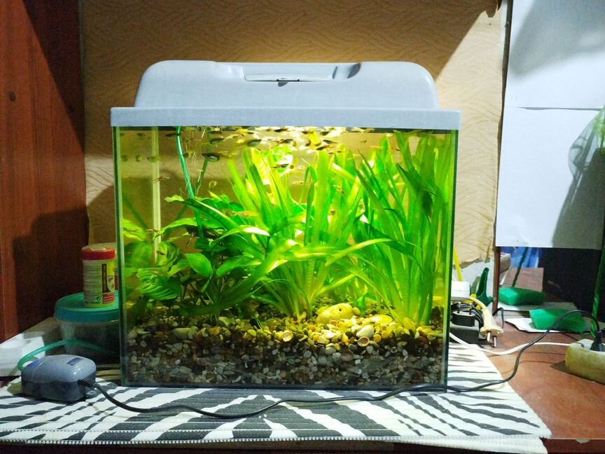 Аквариум с рыбками бу