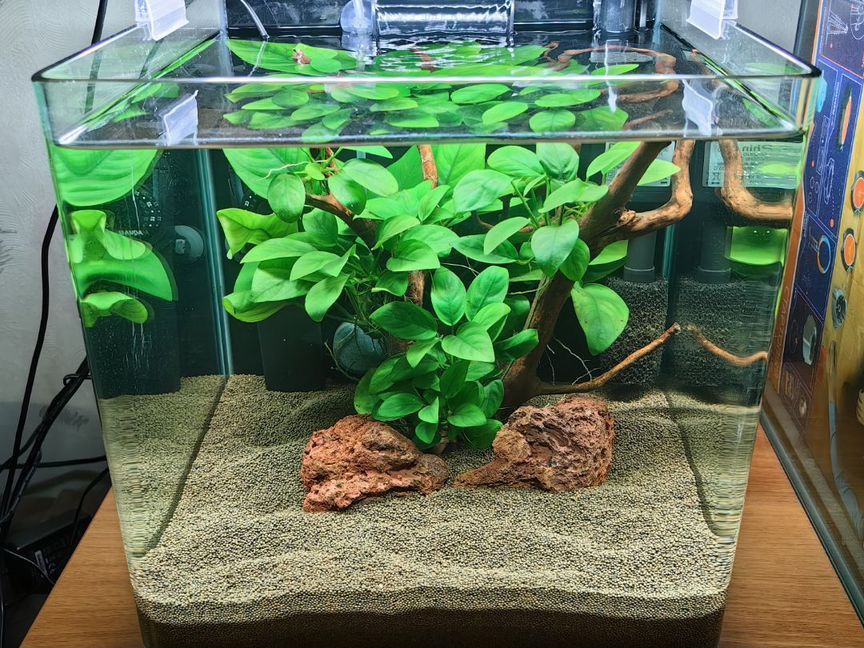 Аквариум куб