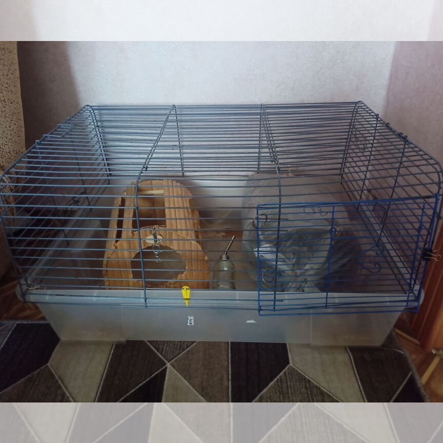 Клетка для морской свинки